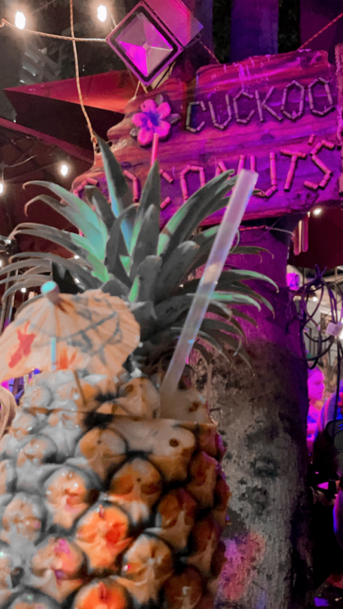 5 Amazing Days in Oahu, Travel Guide - Two Sisters Abroad